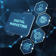 Digital Marketing – PrimaryLens